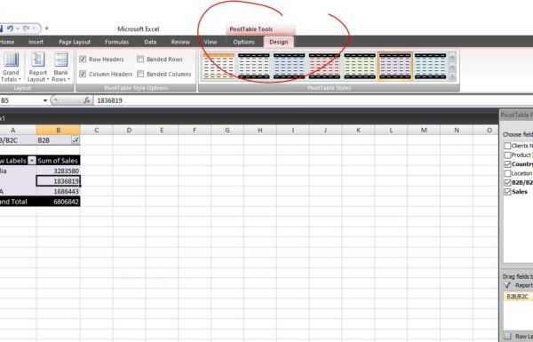 How to utilize Pivot tables and charts in Excel | ESS Institute